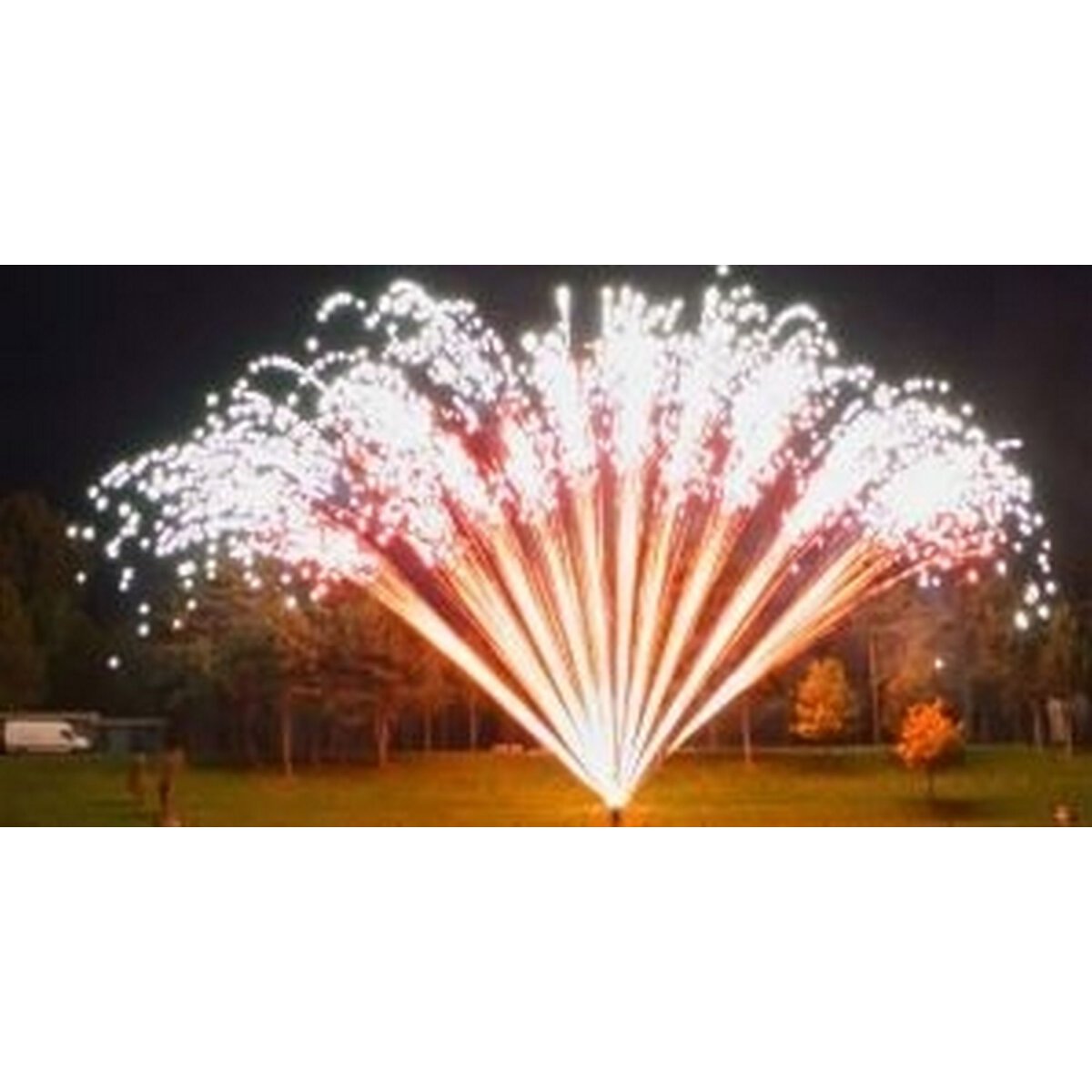 Austrian Gold single row